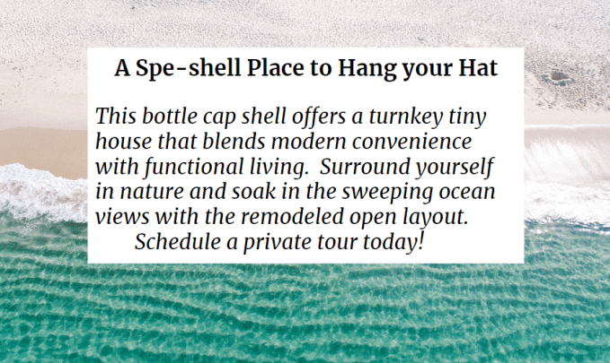 Borrowed Forms, Borrowed Shells: The Hermit Crab Essay – moving writers